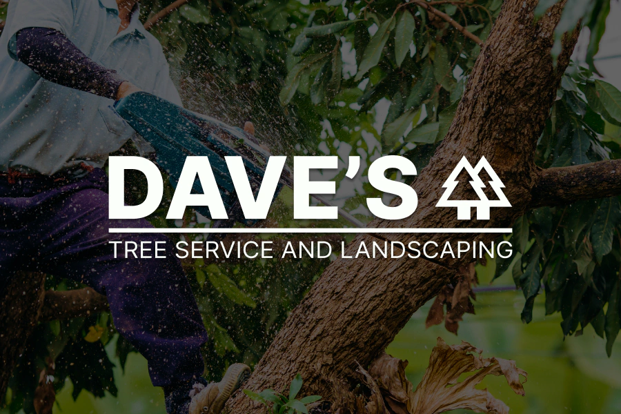 Tree Services Little Falls, MN | Dave’s Tree Services and Landscaping