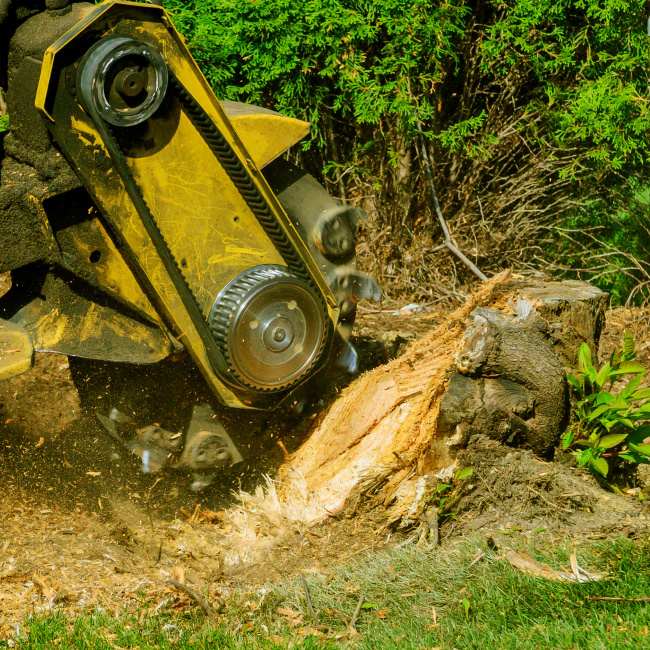 Tree Services Little Falls, MN | Dave’s Tree Services and Landscaping